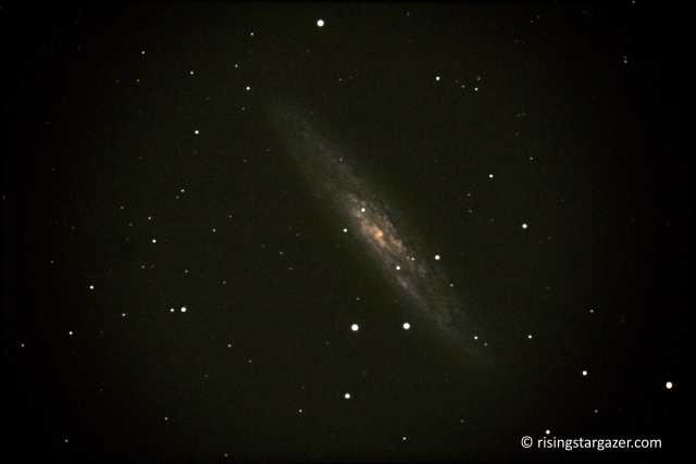Sculptor Galaxy – risingstargazer.com